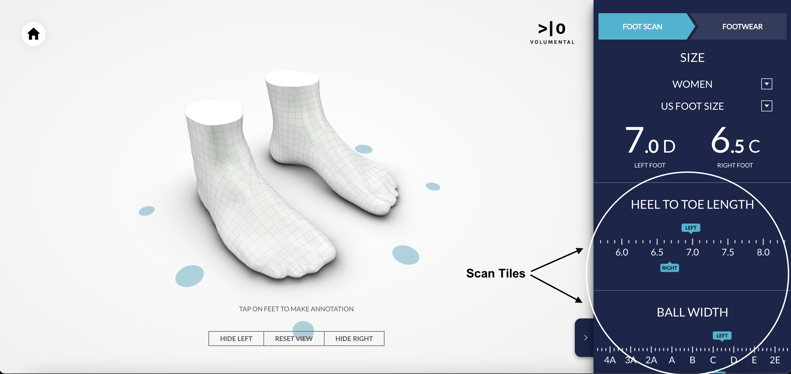 Scan Results: How to Use the Main Foot Measurements